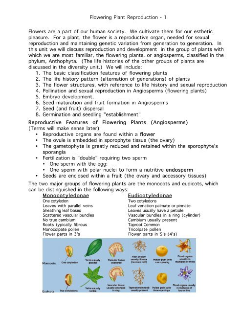 Flower Structure And Reproduction Worksheet Answers Coloring Best