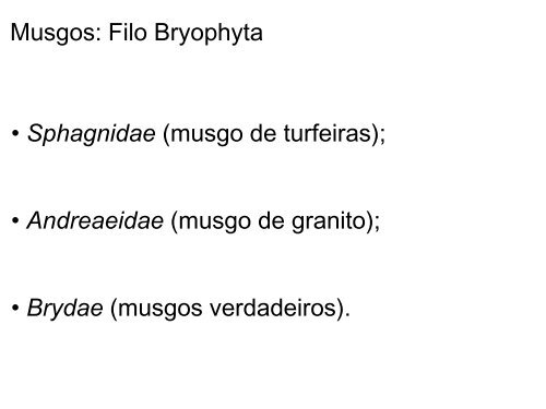 Musgos: Filo Bryophyta â ¢ Sphagnidae (musgo de turfeiras ...