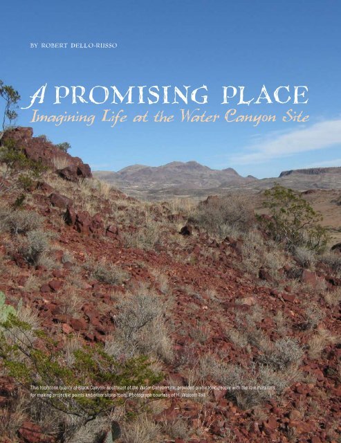 A Promising Place - El Palacio Magazine