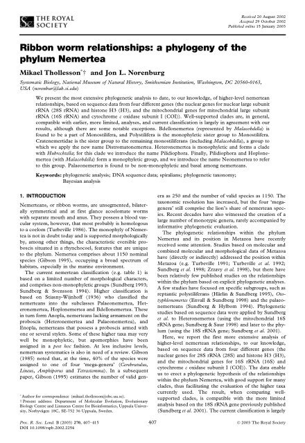 Ribbon worm relationships: a phylogeny of the phylum Nemertea