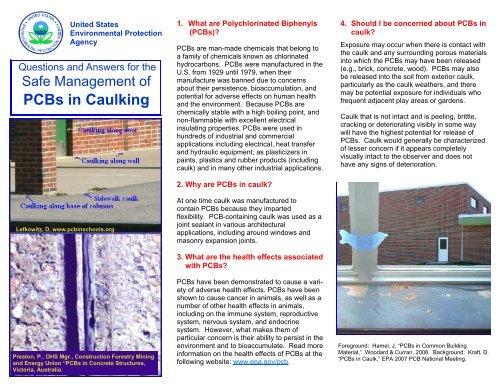 PCBs in Caulking - Commonground