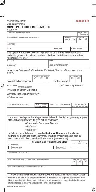 Municipal Ticket Information - Form B