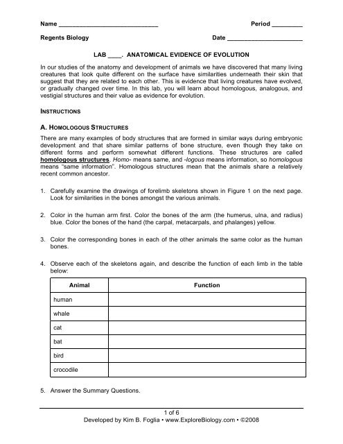 Evidence of Evolution - Explore Biology