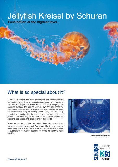 Jellyfish Kreisel by Schuran