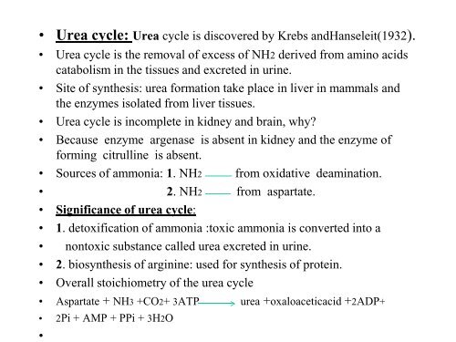 â ¢ Urea cycle: Urea cycle is discovered by Krebs andHanseleit(1932 ...