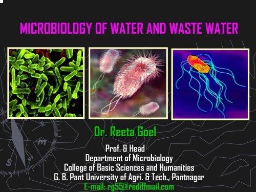 Microbiology of Water and Waste Water