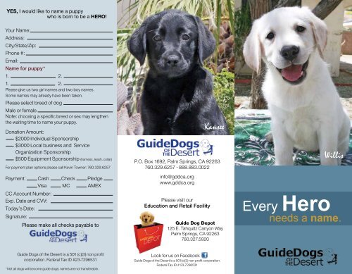 Do You Have To Pay For A Guide Dog
