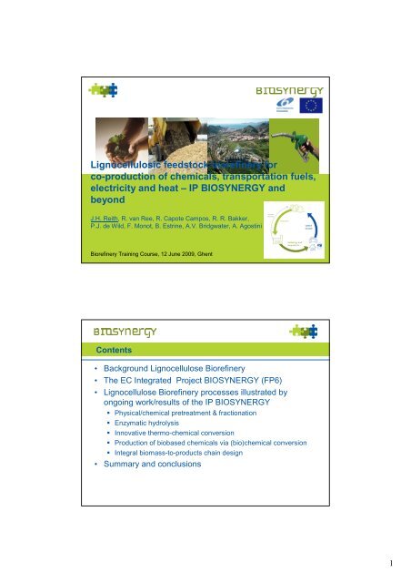 enzymatic hydrolysis of starch