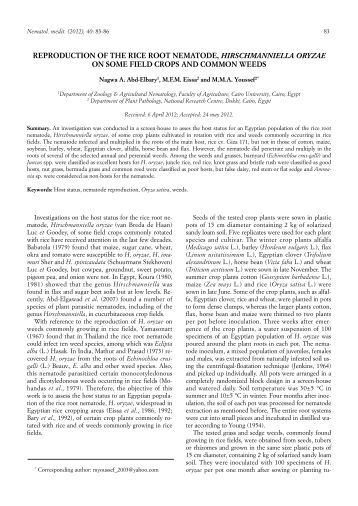 Hirschmanniella oryzae - Alchetron, The Free Social Encyclopedia