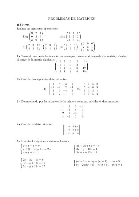 PROBLEMAS DE MATRICES