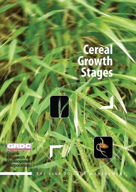 Cereal growth stages - Grains Research & Development Corporation