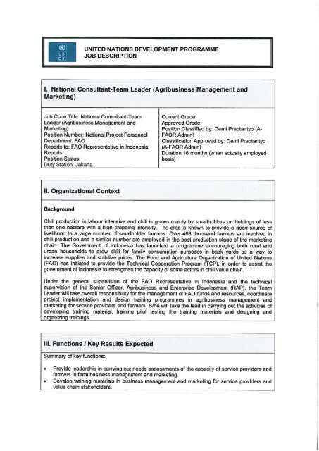 United Nations Development Programme Job Description Undp