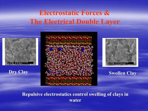 Liquid-Solid Interface I. Electrical Double Layer.