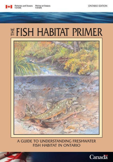 A Guide to Understanding Freshwater Fish Habitat in Ontario