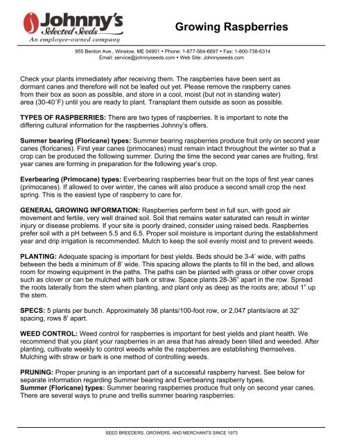 Growing Raspberries - Johnny's Selected Seeds