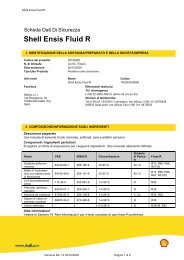 Shell Ensis Fluid SX - Maxlube.it