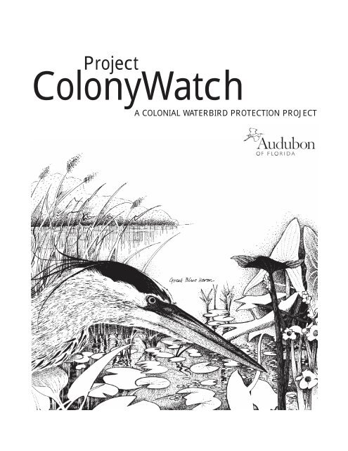 Colony Watch Handbook - National Audubon Society Colony Watch Handbook - National Audubon Society