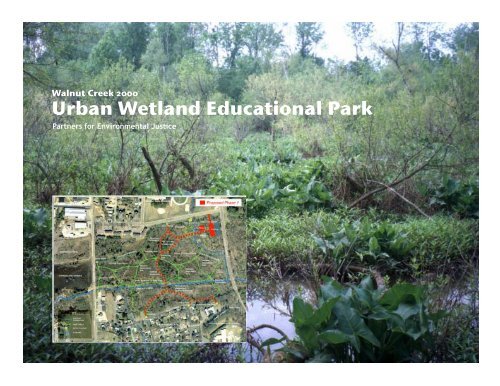 Urban Wetland Educational Park - Natural Learning Initiative