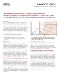FIV/FeLV Diagnostic Algorithm - IDEXX Laboratories