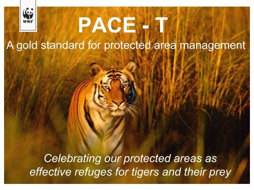PACE - T - Global Tiger Initiative