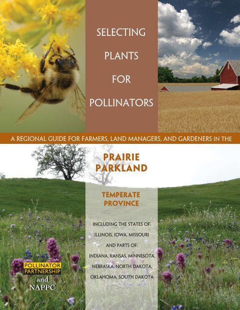 Prairie Parkland - Pollinator Partnership