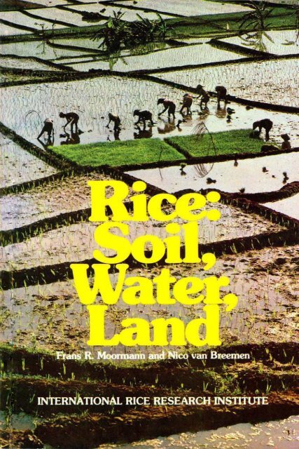 Rice - IRRI books - International Rice Research Institute