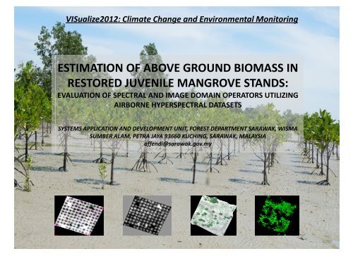 estimation of above ground biomass in restored juvenile mangrove ...