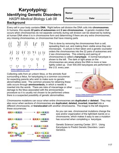 08 Karyotyping - Student.pdf - haspi