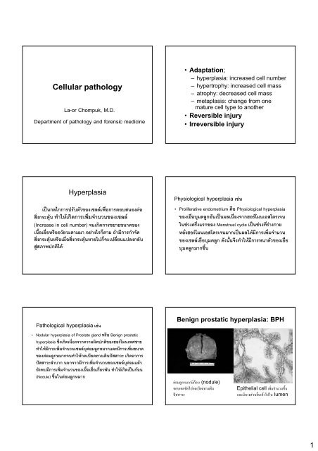 Lab Cellular pathology อ.ตู้.pdf