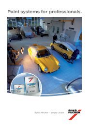 Paint damage, paint defects and environmental effects. - Spies Hecker