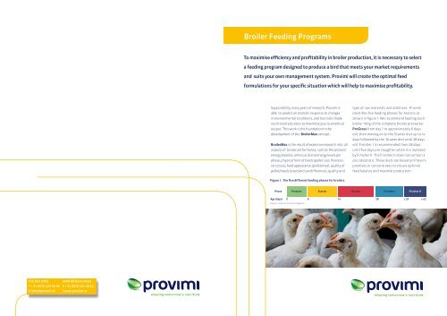 Broiler Feeding Programs - Provimi