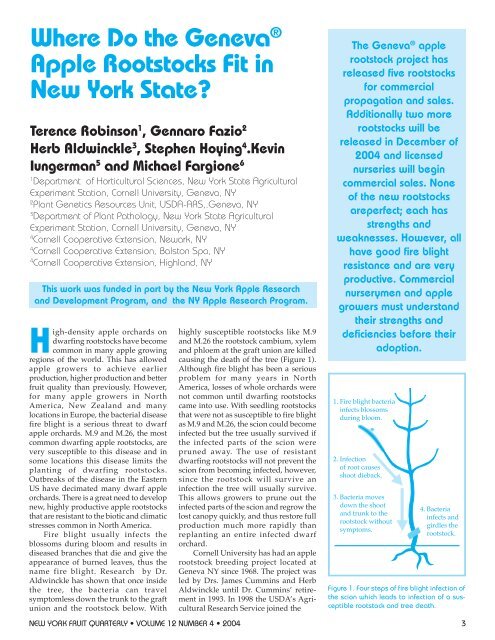 GenevaÂ® Apple Rootstocks in NY - New York State Horticultural ...