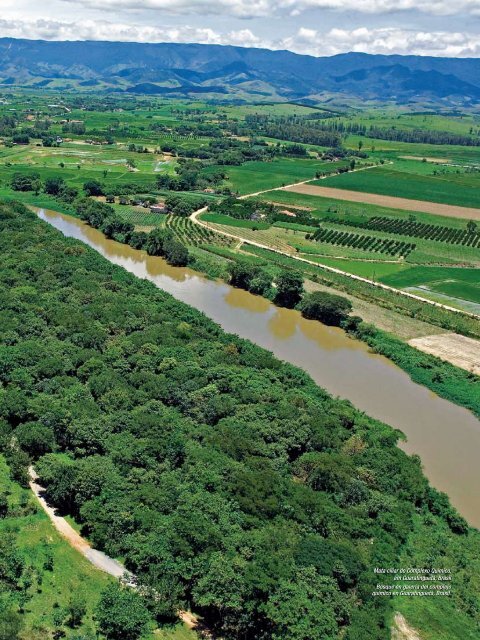 Mata ciliar do Complexo QuÃ­mico, em GuaratinguetÃ¡, Brasil - Basf