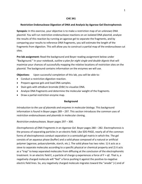 1 CHE 341 Restriction Endonuclease Digestion of DNA and ...