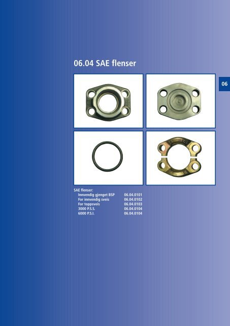 Kap. 06.04 SAE-flenser