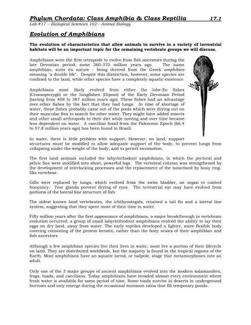 Class Amphibia & Class Reptilia Evolution of ... - Biosciweb.net