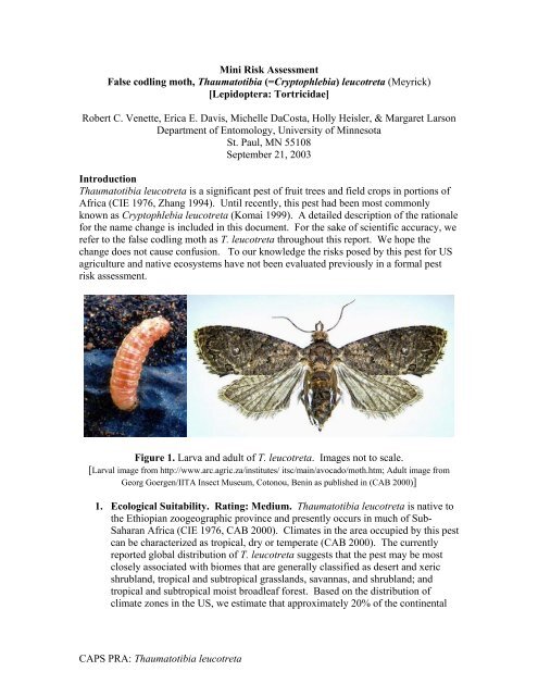 Thaumatotibia leucotreta Mini Risk Assessment False codling moth