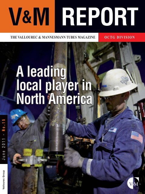 V & M Report #15 - VAM Services