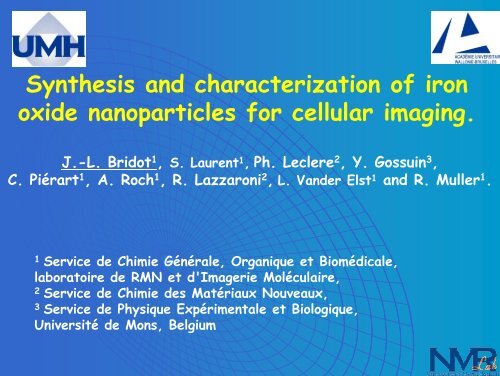 Synthesis and characterisation of iron oxide nanoparticles ... - Encite