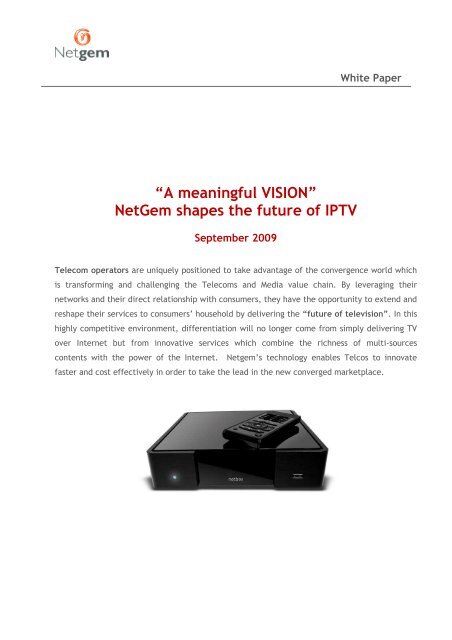 A meaningful VISION - Netgem