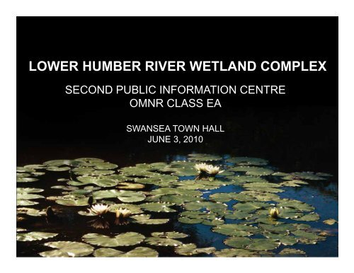 LOWER HUMBER RIVER WETLAND COMPLEX - Ontario Streams