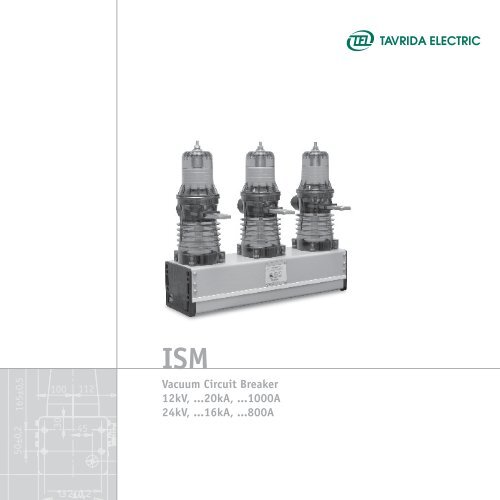 ISM - Tavrida Electric Germany