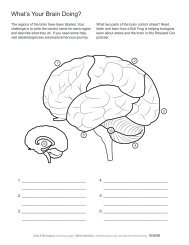 Ask A Biologist - What's In Your Brain? - Worksheet Activity