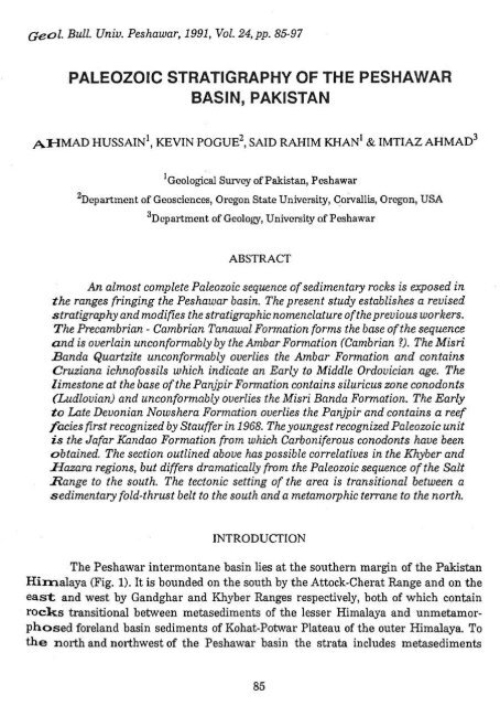 Paleozoic Stratigraphy Of The Peshawar Basin, Pakistan