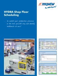 SAP: HYDRA Project Report CARL ZEISS - MPDV USA