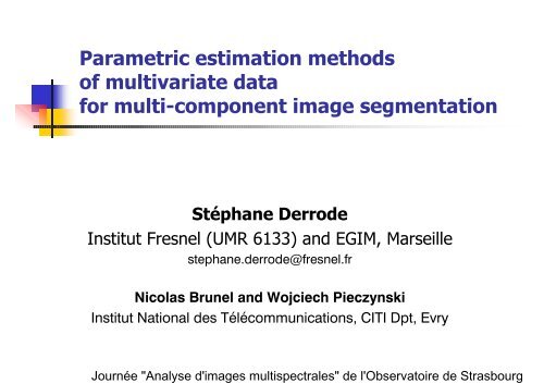 Parametric Estimation Methods Of Multivariate Data For Multi