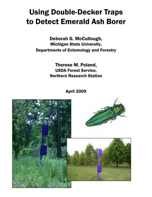 Using Double-Decker Traps to Detect Emerald Ash Borer