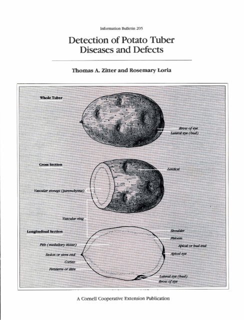 Detection of Potato Tuber Diseases and Defects - ecommons ...
