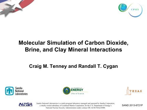 Molecular Simulation of Carbon Dioxide and Mineral ... - Lammps