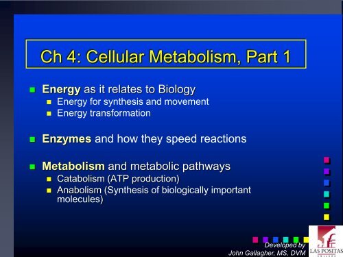 Energy and Cellular Metabolism, Part 1